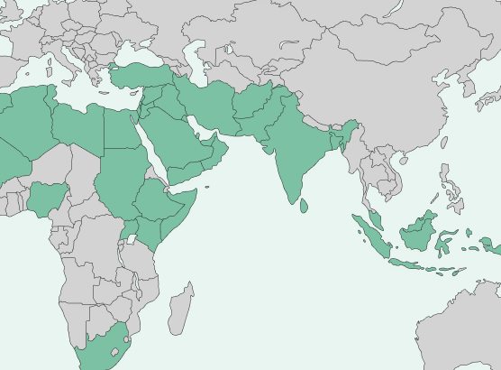 Explore Key Resources - Musawah